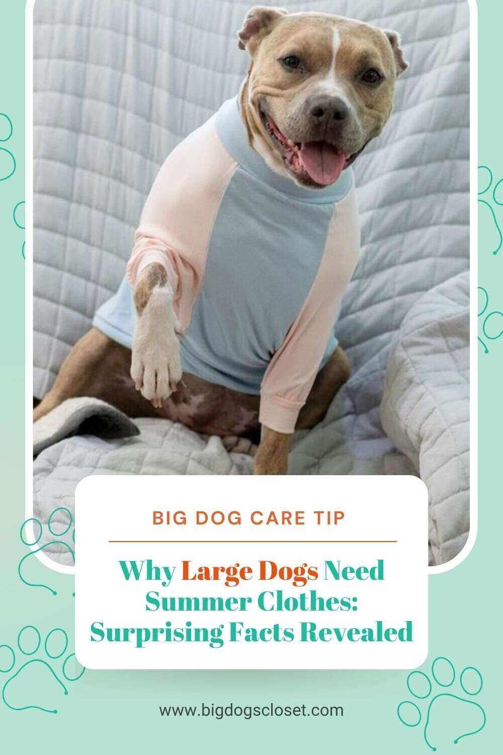 Why Large Dogs Need Summer Clothes: Surprising Facts Revealed ...